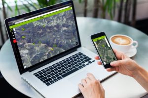 Sheep | GPS sheep tracker - Tracking and monitoring livestock